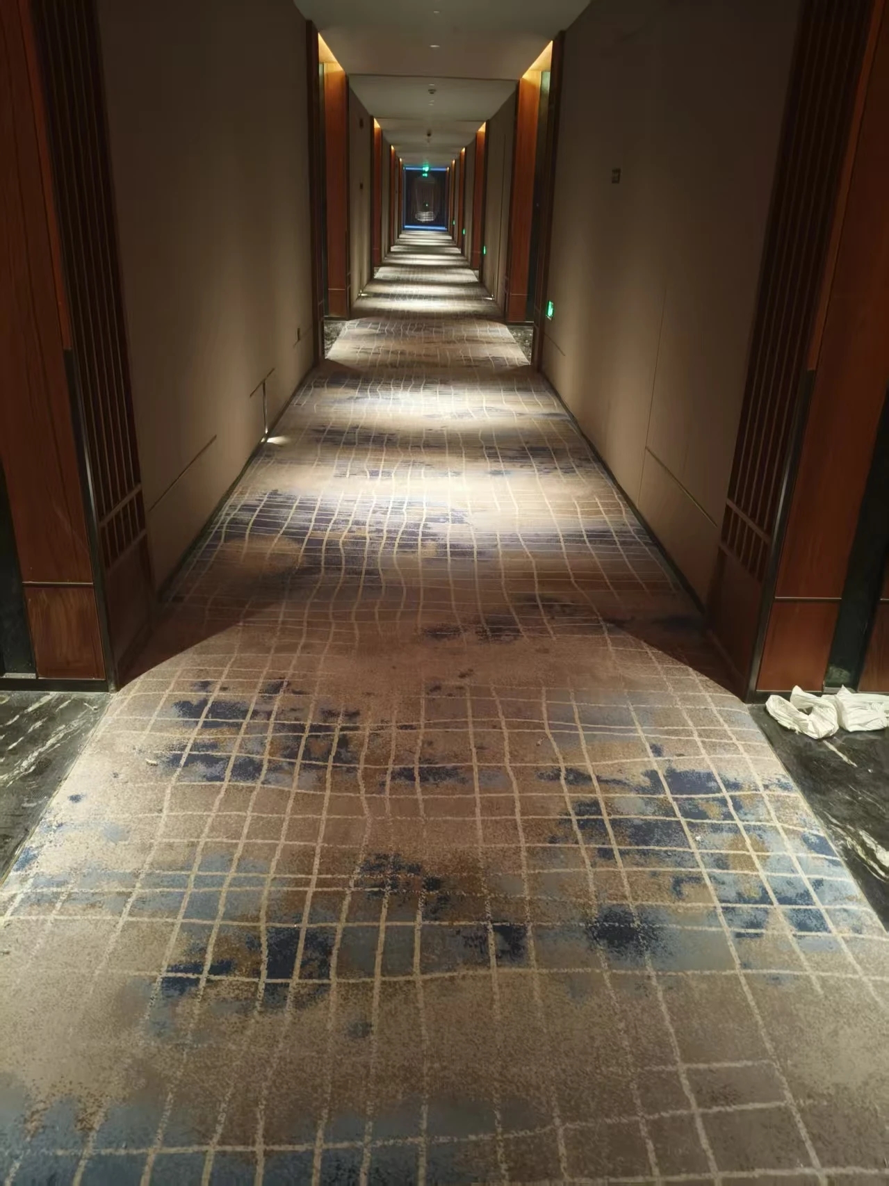 Axminster Carpet for Wyndham Hotel - Rizhao F-Leader, Dongsheng Carpet
